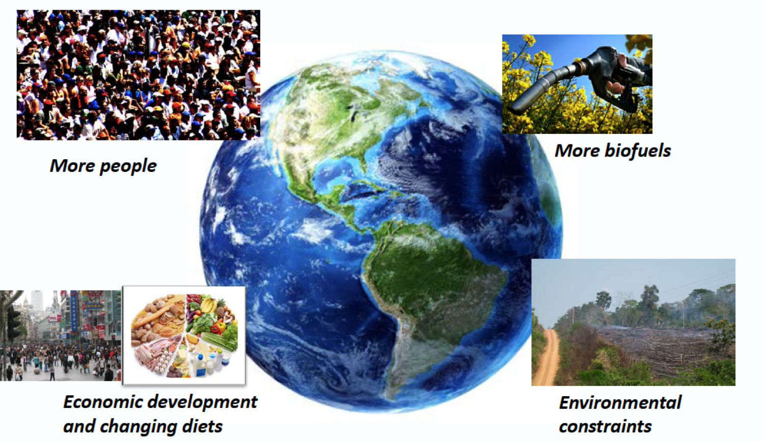 About | GEOGLAM RAPP